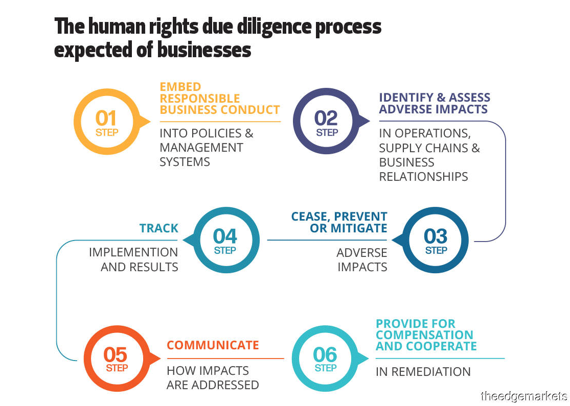 Human rights due diligence and Malaysia’s current state of play ...